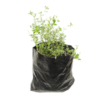 El Lagar: Ferreteria y materiales para construccion: Hierba Tomillo ...